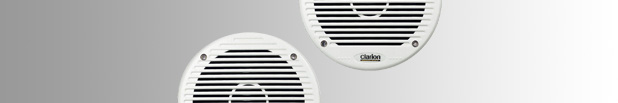 Clarion UK | Speaker